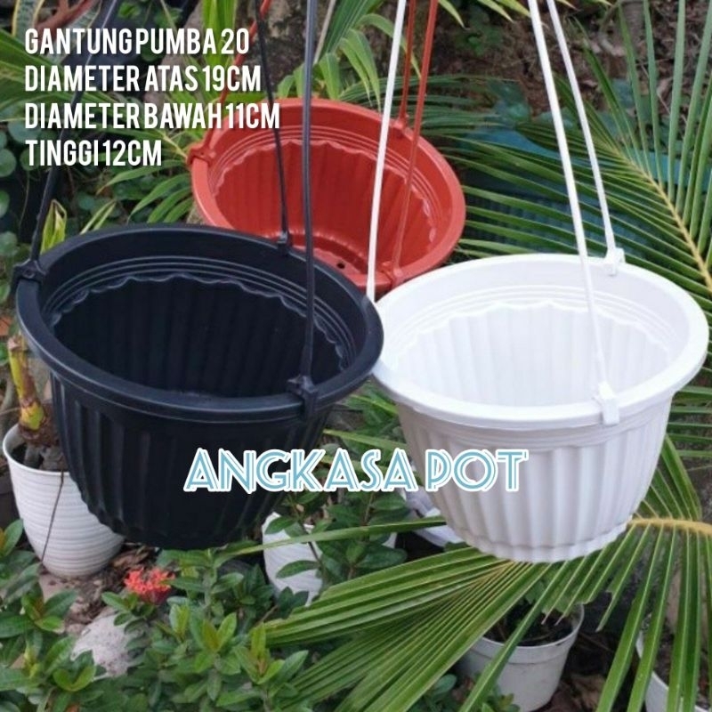 Jual Pot bunga Gantung PUMBA 20 (19cm) - Pot Gantung bagus | Shopee ...
