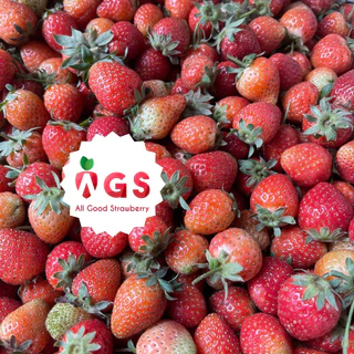 Jual StrawbeRRy 1 Kg Terlengkap & Harga Terbaru Mei 2024 | Shopee Indonesia