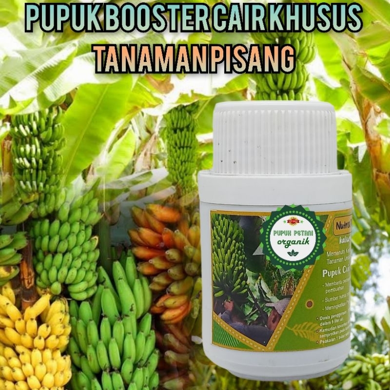Jual Pupuk Pisang Booster Organik Cair Khusus Tanaman Pisang | Shopee Indonesia