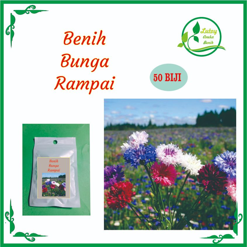 Jual BENIH BUNGA RAMPAI ISI 50 BIJI | Shopee Indonesia