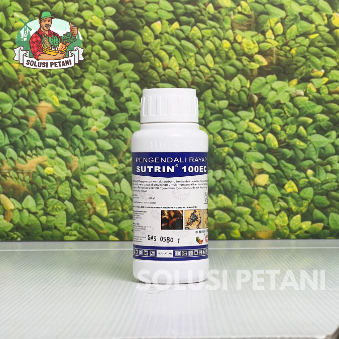 Jual Obat Hama Pengendali Rayap Sutrin 100ml Pembasmi Rayap Rumah ...