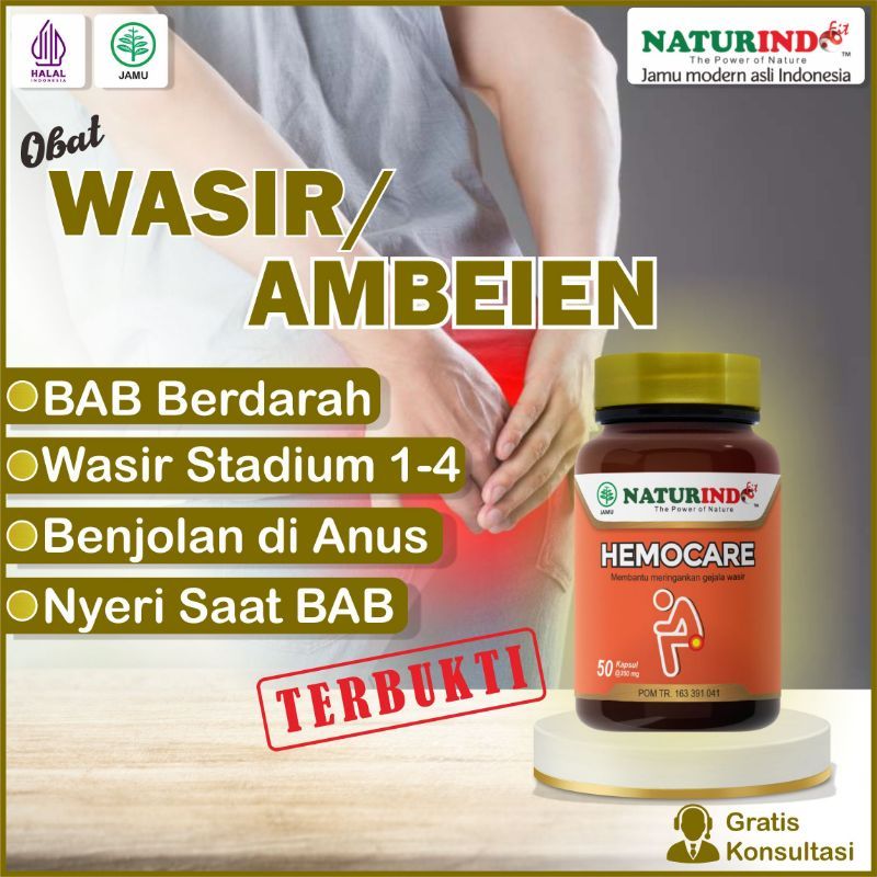 Jual Obat Wasir Stadium 4 benjolan Anus Bab Berdarah Hemocare Naturindo | Shopee Indonesia