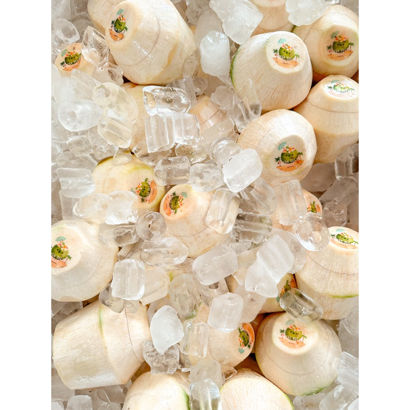 Jual [Ready Stock] Fresh Degan jelly - 100% Coconut No sugar | Shopee ...