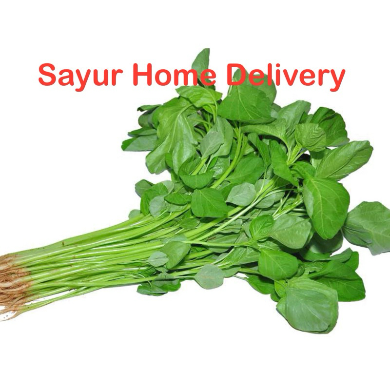 Jual SayurHD Sayur Bayam Fresh Segar 1 Ikat | Shopee Indonesia