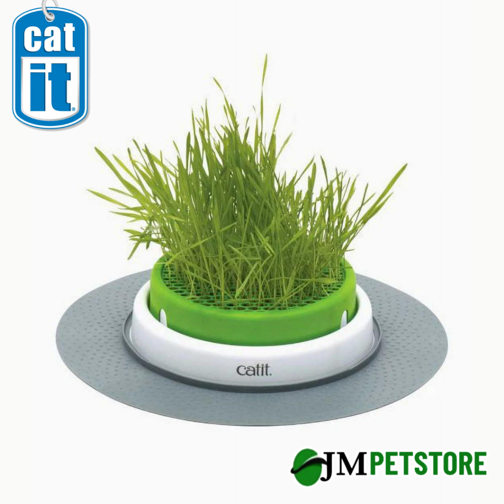 Jual Paket Tempat Rumput Kucing Catit Senses Grass Planter | Shopee ...