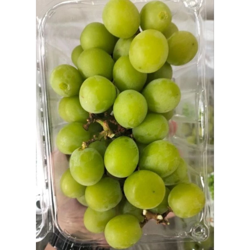 Jual Anggur Shine muscat 500gram | Shopee Indonesia