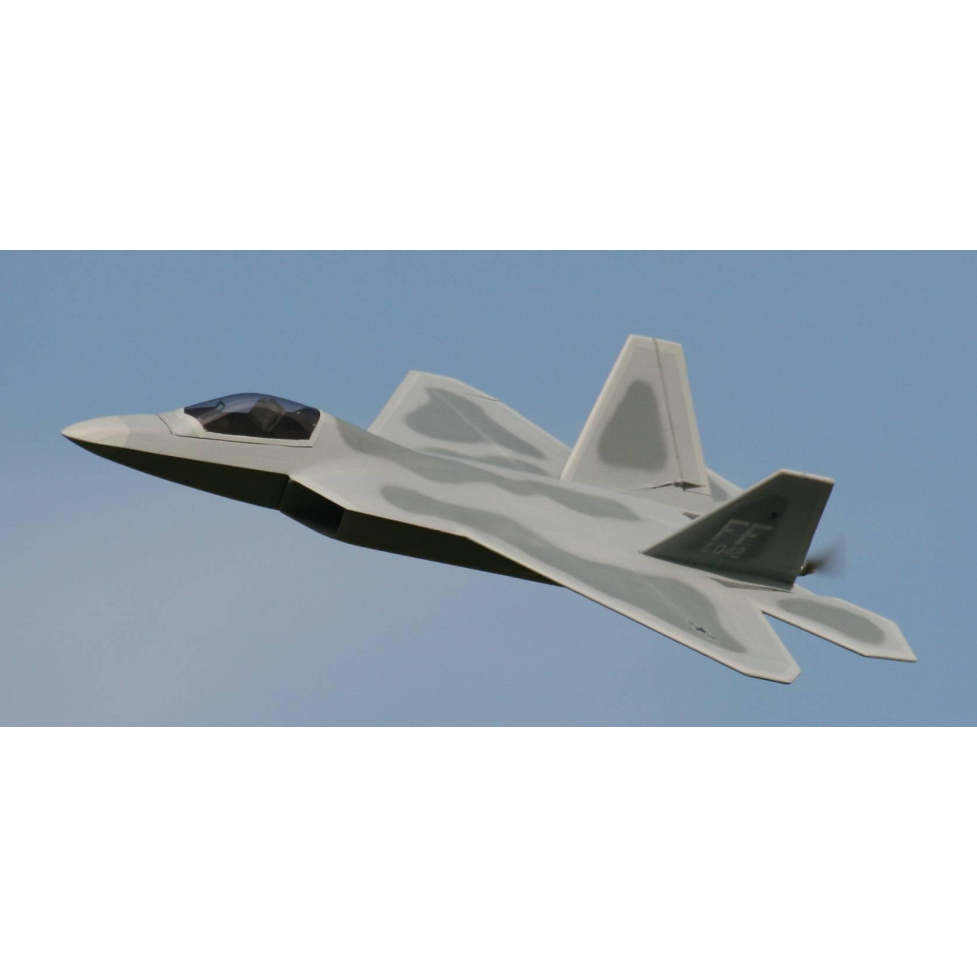 Jual F 22 Raptor, F-22 Raptor Kit pesawat Rc jet, parkjets ...