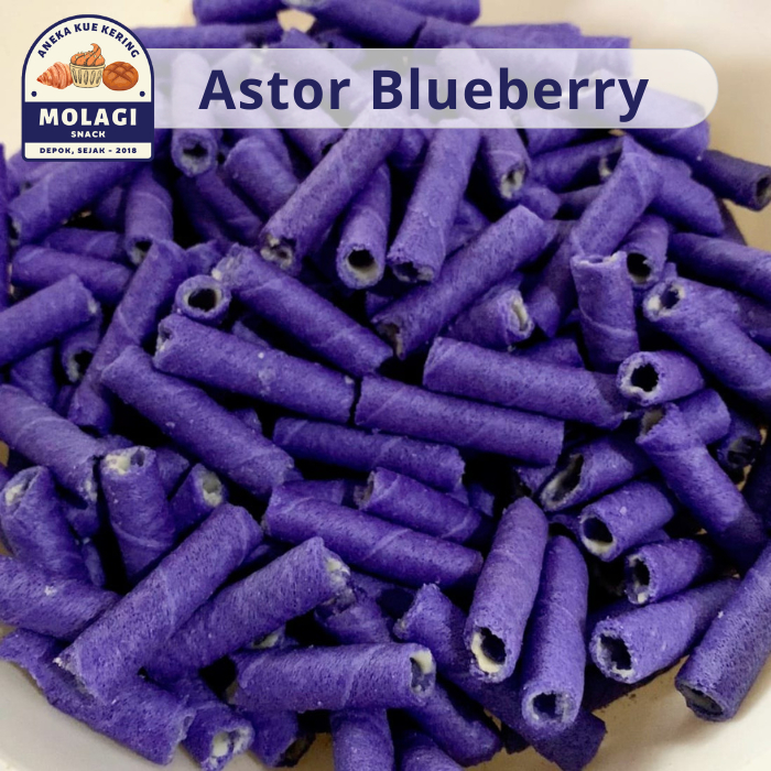 Jual Wafer Stik Astor Blueberry Barcelona Toples 1 Liter - Molagi Snack ...