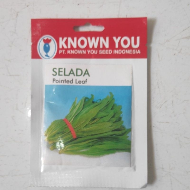 Jual Benih/Bibit selada Pointed Leaf/Siomak/selada pandan know you seed ...