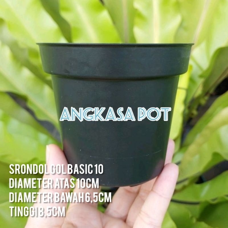 Jual SRONDOL GOL BASIC 10 Pot Basic Pot bunga semai Pot polos Pot murah ...