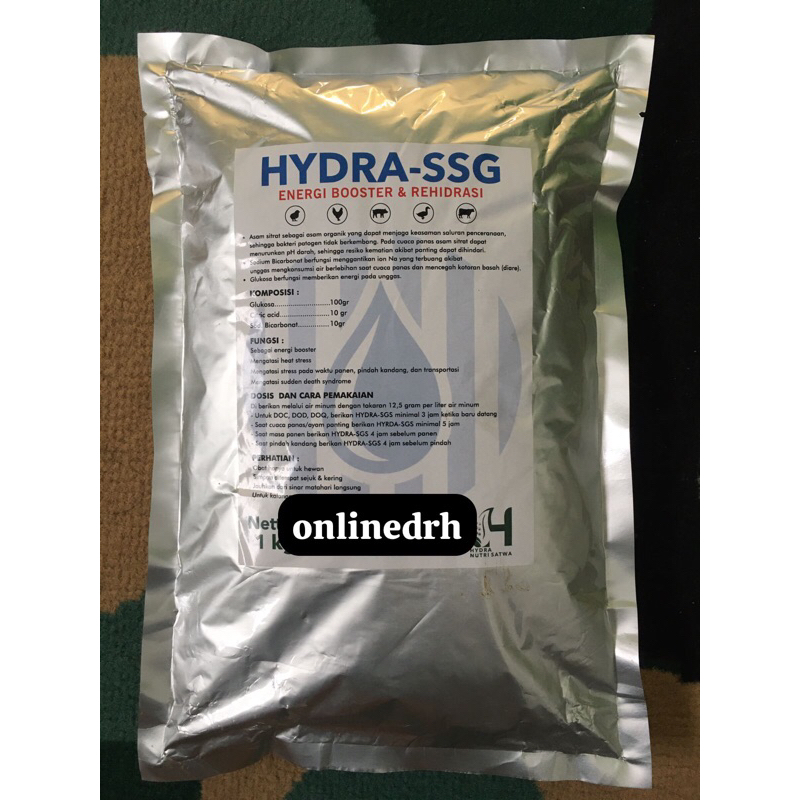 Jual HYDRA SSG Energi Booster & Rehidrasi 1 KG | Shopee Indonesia