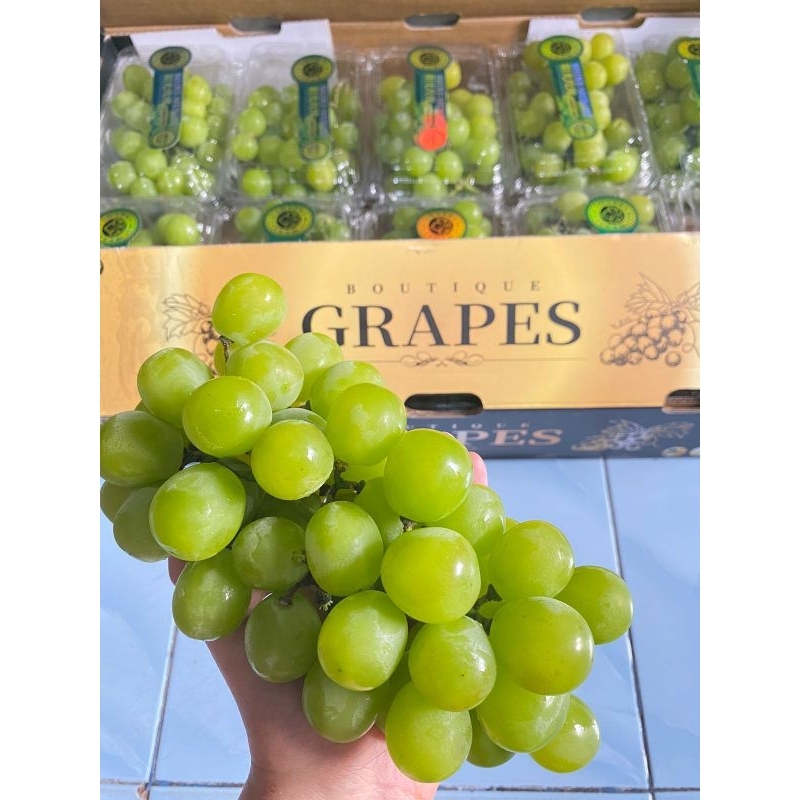 Jual Anggur Hijau Shine Muscat Fresh Import per pack 500 gram buah ...