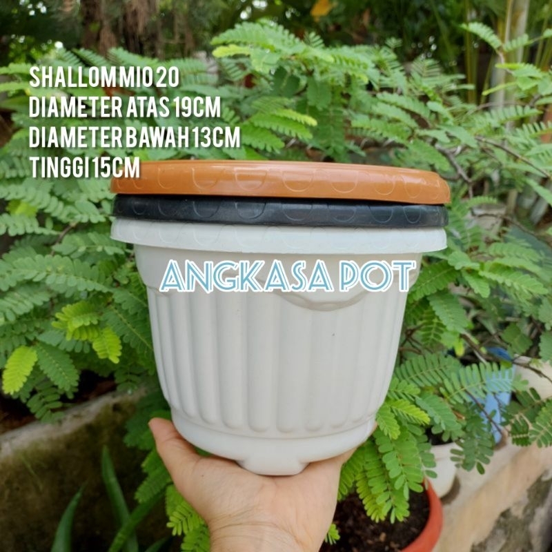 Jual Pot bunga SHALLOM MIO 20 Pot model belimbing Pot besar tebal kuat ...