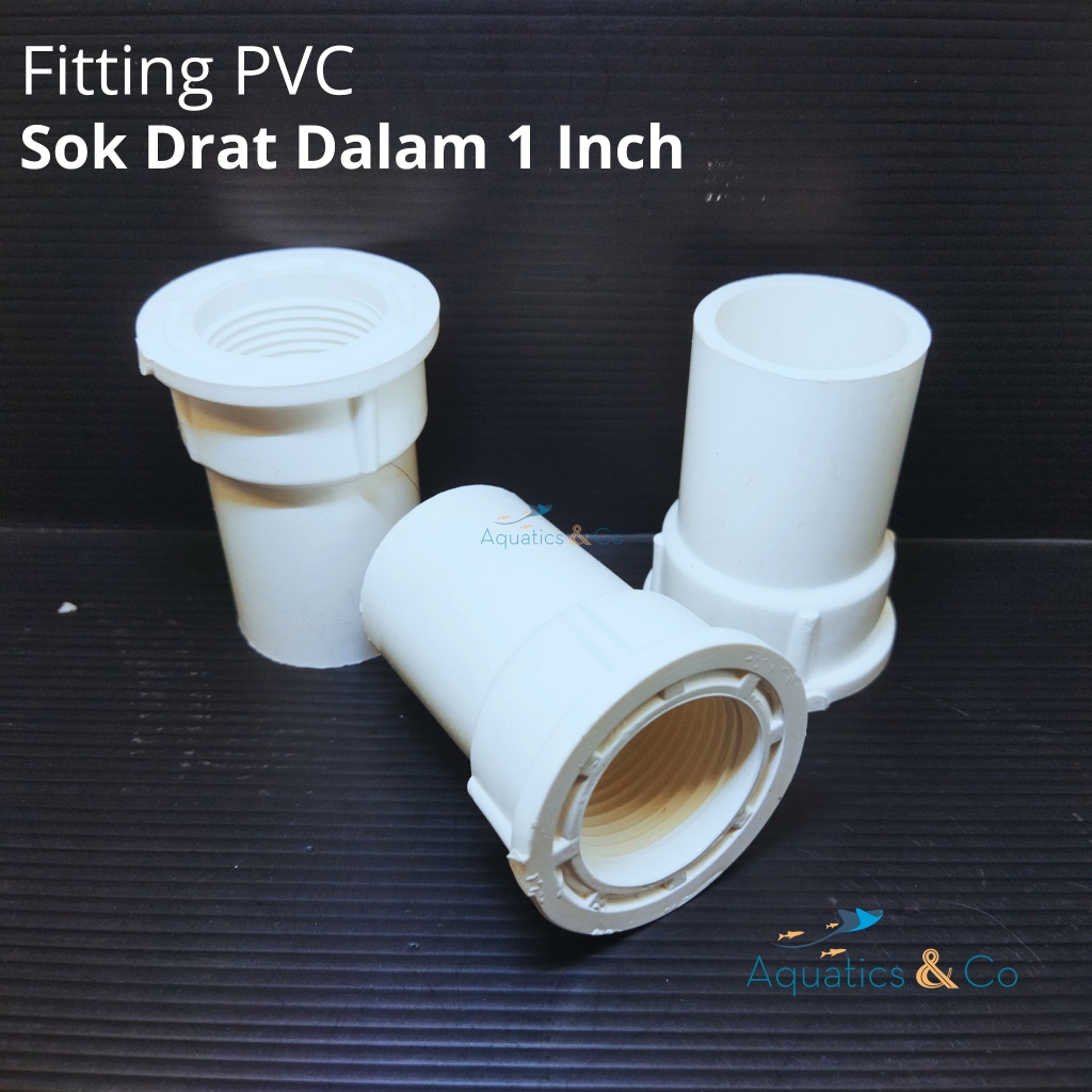 Jual Sok Drat Dalam 1" Fitting PVC Pralon Faucet Socket AW 1 Inch Putih ...