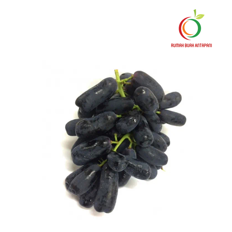 Jual Buah Anggur Black Autumn Jari Moondrop 250 gram | Shopee Indonesia