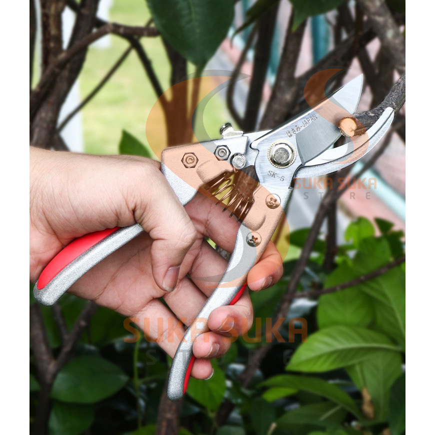 Jual Gunting Dahan Ranting Tanaman Gunting Stek Bonsai Gunting Taman ...