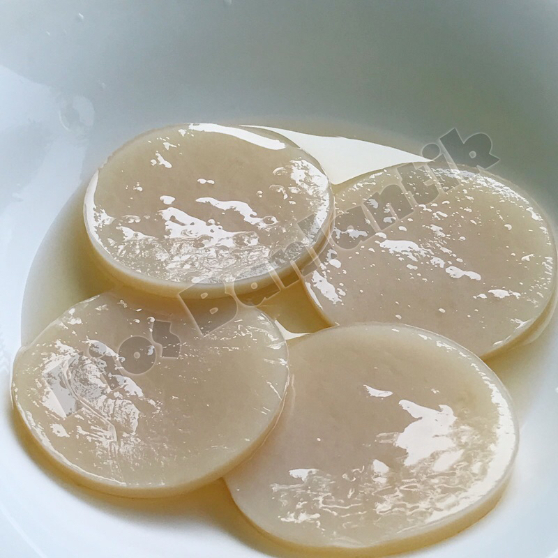 Jual SCOBY Kombucha Plus Starter | Jamur Dipo | Shopee Indonesia