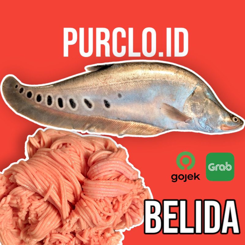 Jual ikan belida MURNI 100% fresh giling bandung segar | Shopee Indonesia