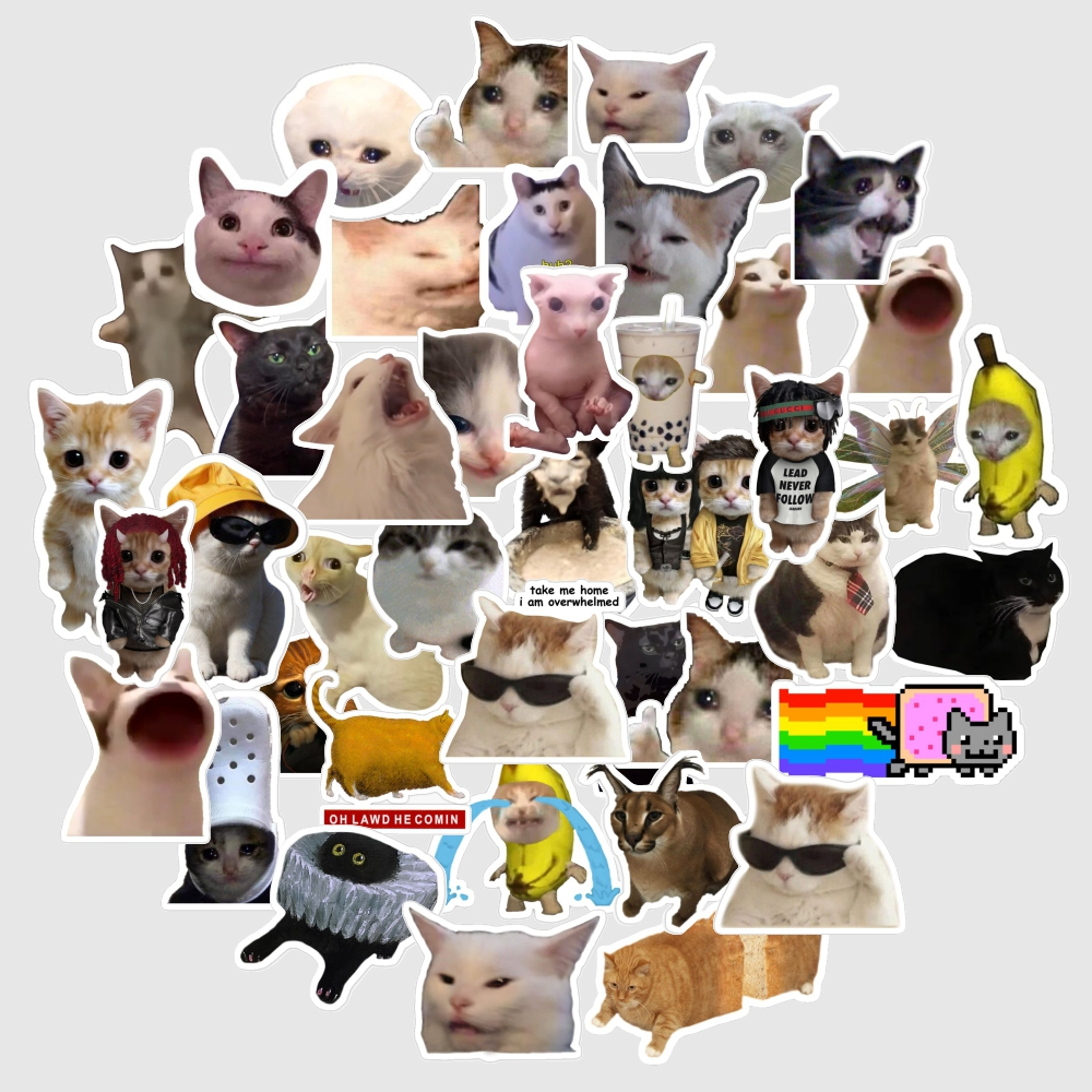 Jual Sticker Tempel "Sticker Pack Cat Meme 40pcs" | Shopee Indonesia