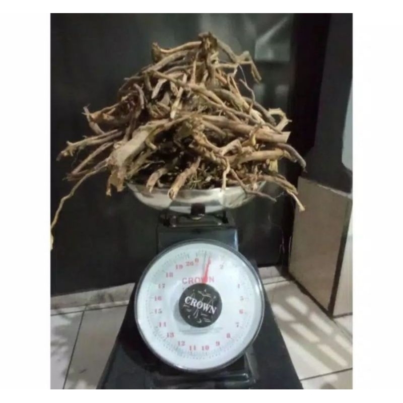 Jual patahan akar Rasamala aquascape 1kg | Shopee Indonesia