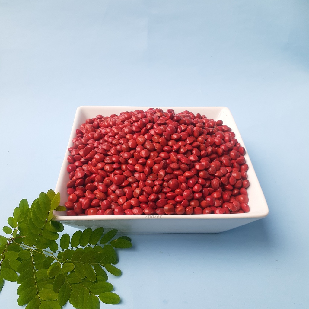 Jual Biji saga merah Bahan Bijian kerajinan Kolase/ Obat herbal ...