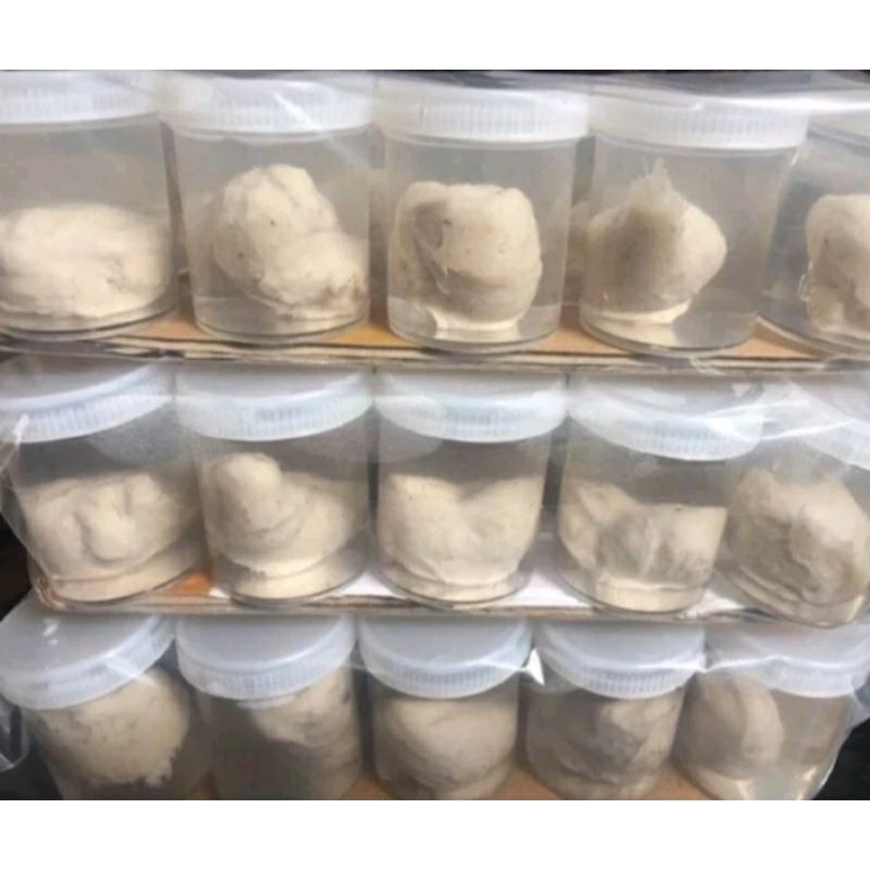 Jual GETAH BURUNG 20Gr/ PULUT BURUNG / LEM TUPAI / JERAT BURUNG ANTI ...