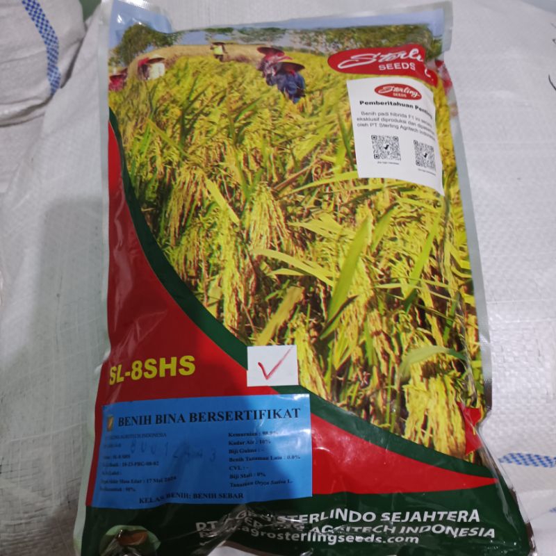 Jual BENIH PADI HIBRIDA SL8 SHS STERLING 1kg Exp 29 Oktober 2024 ...