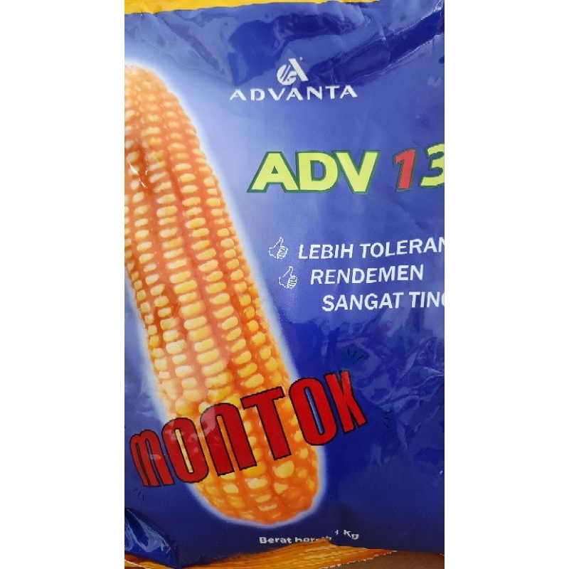 Jual ADVANTA - ADV 132 MONTOK - 1 Kg | Shopee Indonesia