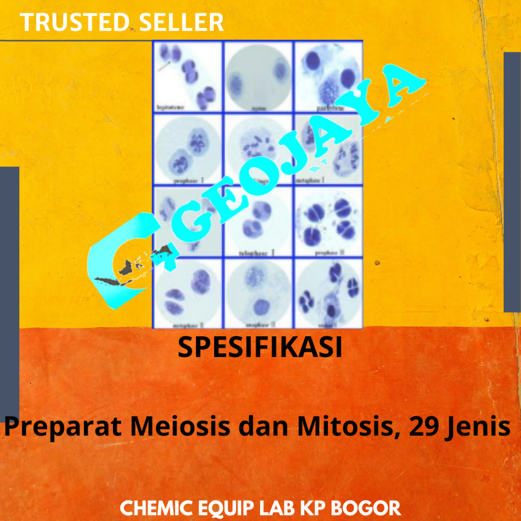 Jual Preparat Meiosis dan Mitosis, 29 Jenis | Shopee Indonesia