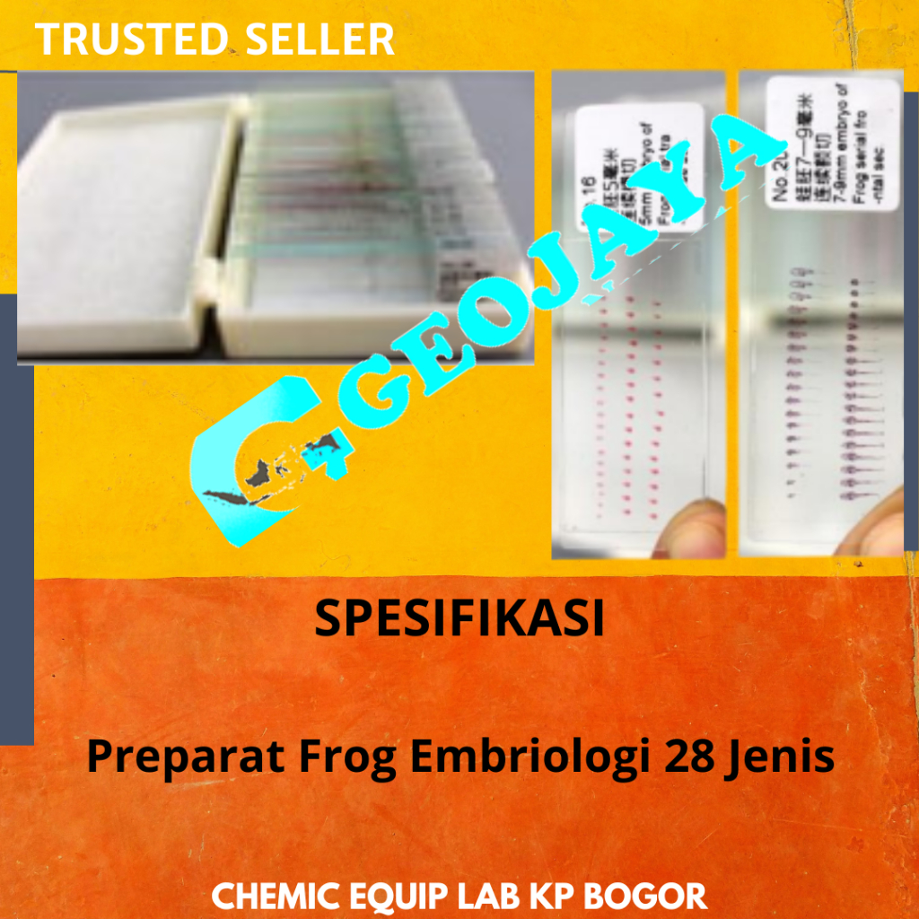 Jual Preparat Frog Embriologi 28 Jenis | Shopee Indonesia