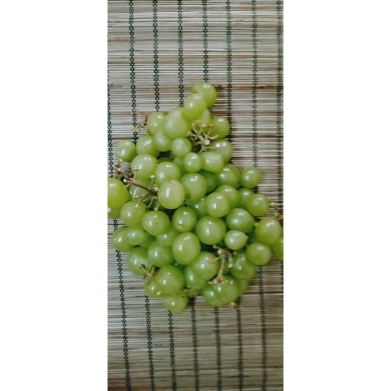 Jual Anggur Shine Muscat Pack | Shopee Indonesia