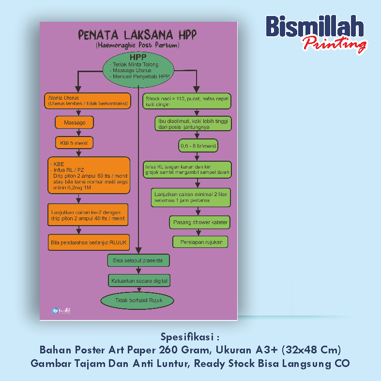 Jual Poster Kesehatan Penata Laksana HPP | Shopee Indonesia