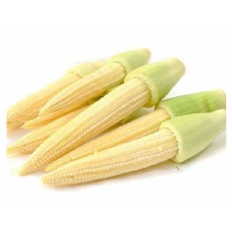 Jual Jagung Muda Baby Corn Fresh kemasan 250gram Kirim Instan | Shopee ...