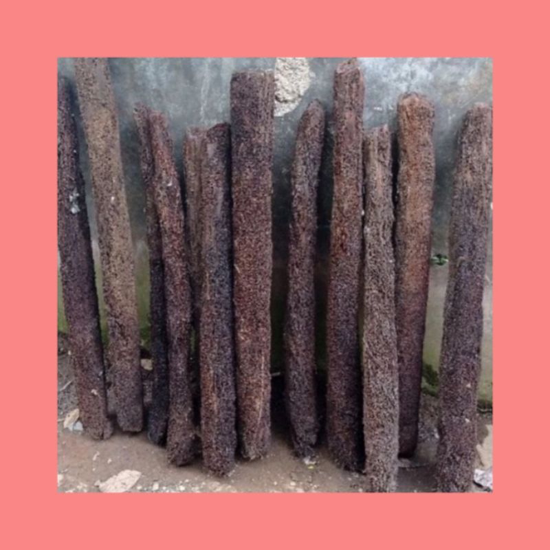 Jual Batang Pakis Gelondongan | Batang Pakis Media Tanam Anggrek ...