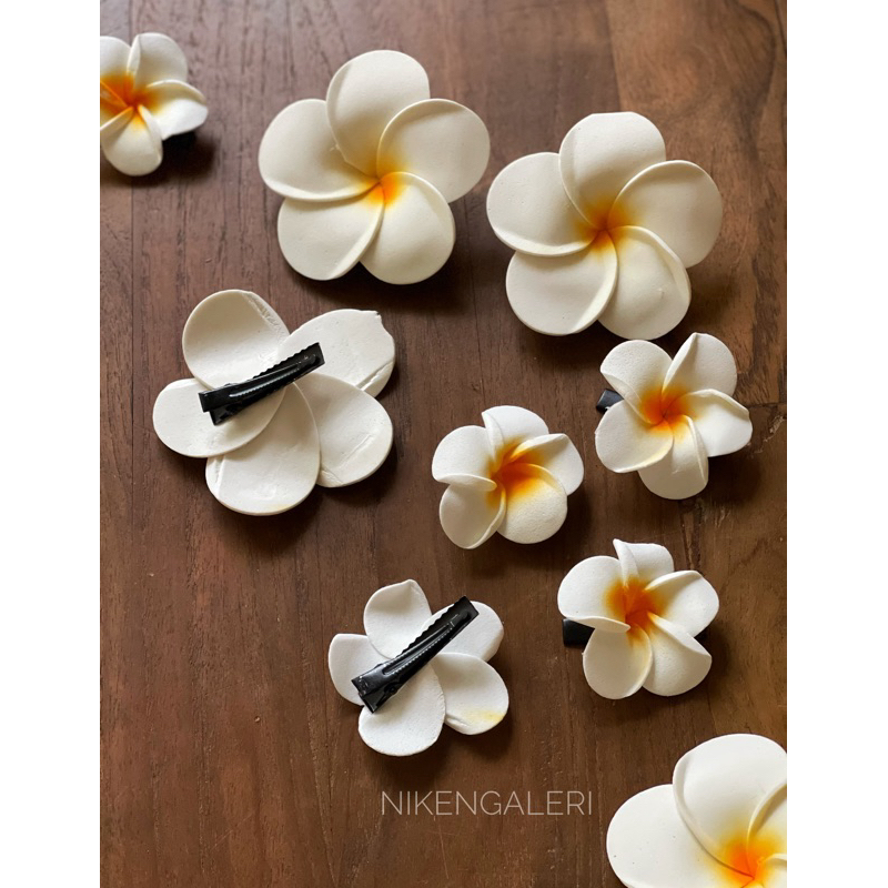 Jual JEPIT BUNGA KAMBOJA - HARGA PER-BIJI | Shopee Indonesia