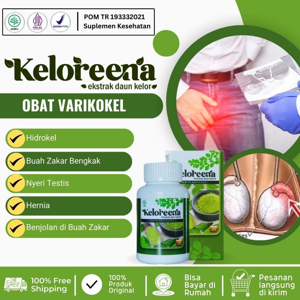 Jual Obat Varikokel Buah Zakar Bengkak Testis Nyeri Benjolan ...
