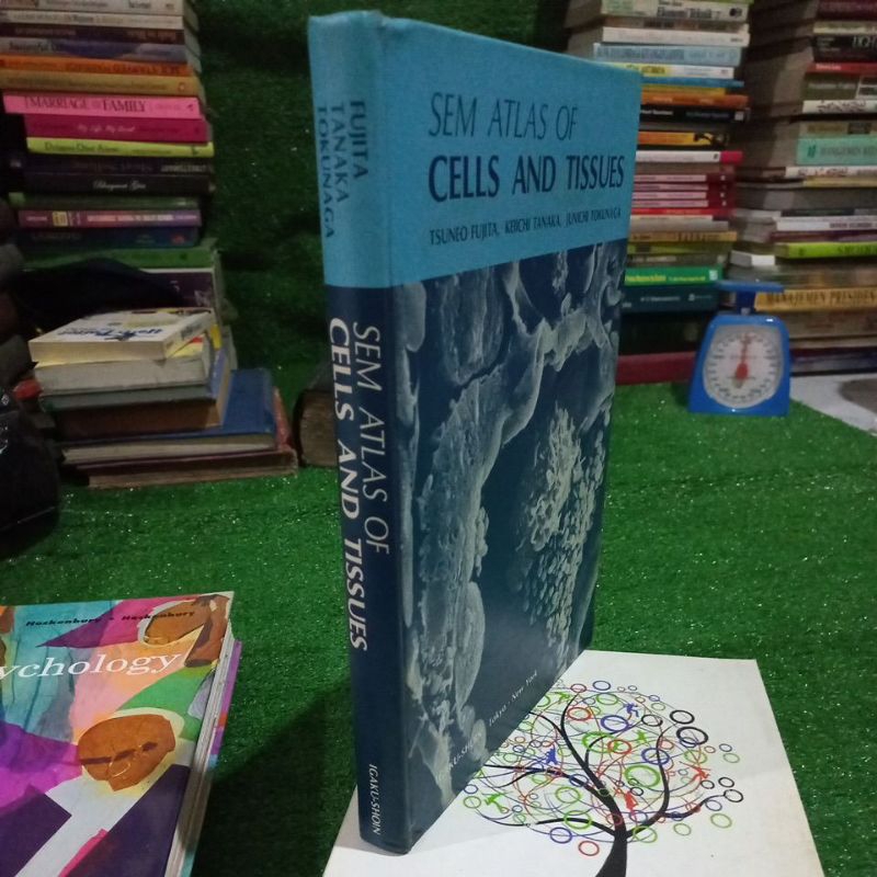 Jual Buku Sem Atlas of Cells and Tissues | Shopee Indonesia