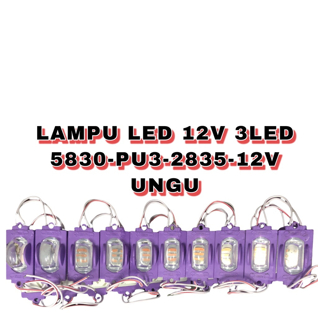 Jual LAMPU LED 12V 3LED 5830-PU3-2835-12V UNGU (5 PCS) | Shopee Indonesia