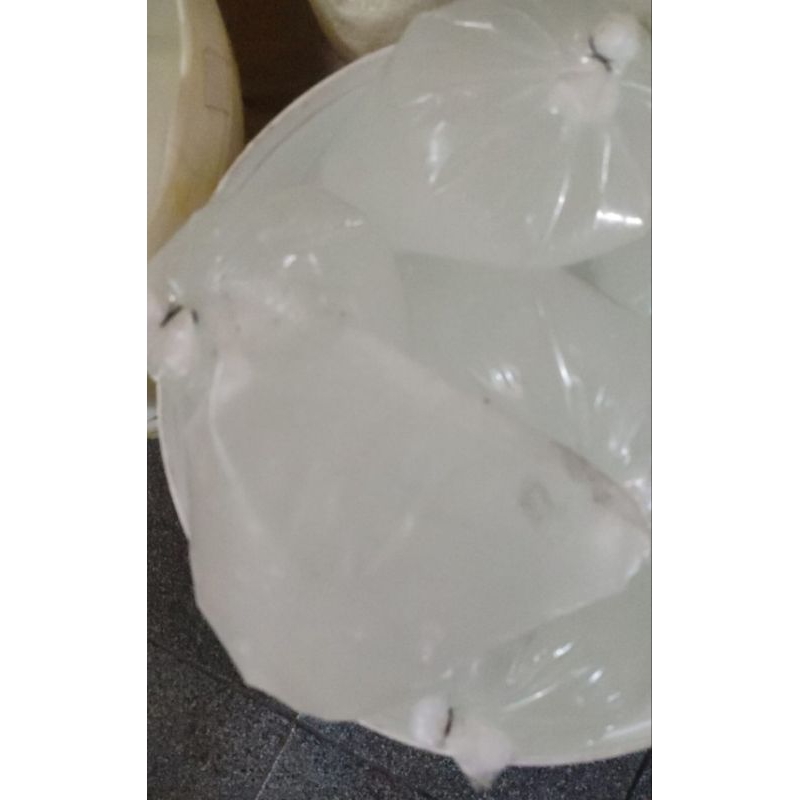 Jual Texapon ukuran 1 kg | Shopee Indonesia