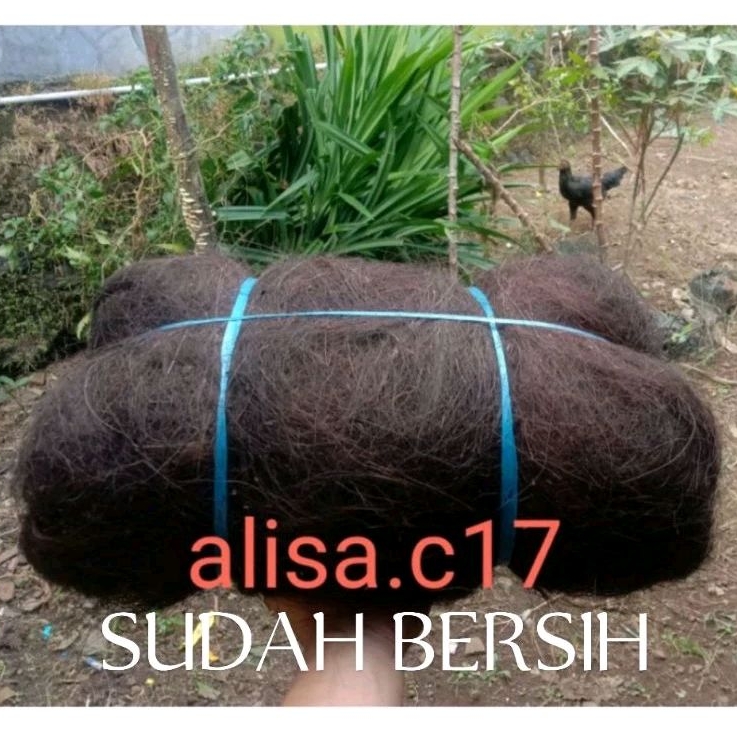 Jual Ijuk Aren Hitam Halus Kering Bersih 1 Kg Ijuk Resapan Ijuk ...