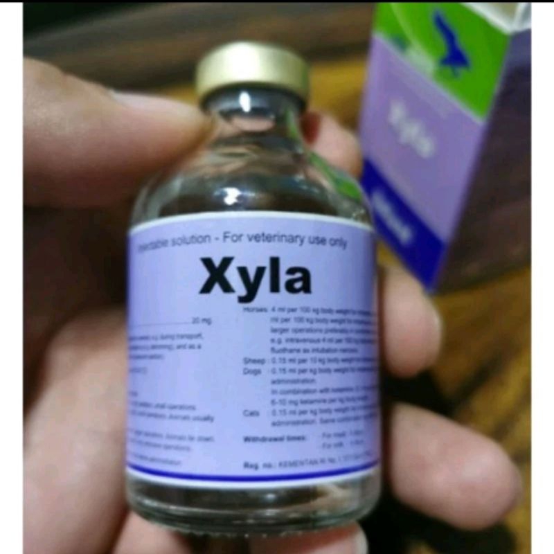 Jual Xyla 50 ml ORIGINAL 100% | Shopee Indonesia