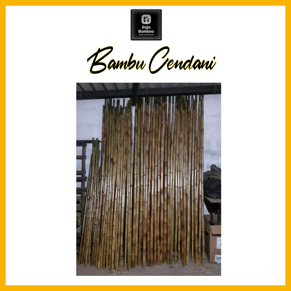 Jual Bambu Cendani | Bambu Dekorasi | Per Batang | Shopee Indonesia