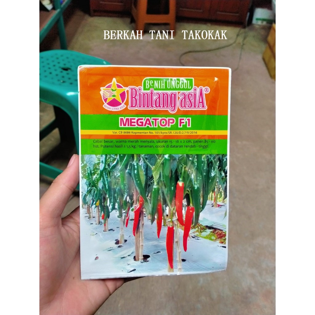 Jual Benih Bibit Cabai Cabe MEGATOP F1 10gr 100% Original Bintang Asia ...