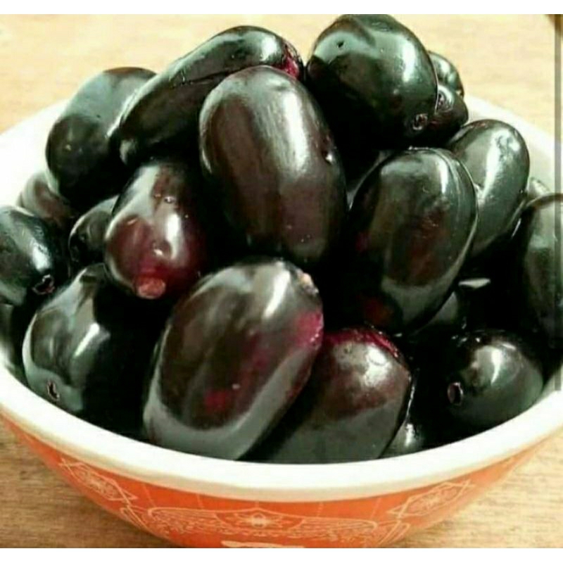 Jual buah jamblang super/duwet segar 1kg | Shopee Indonesia