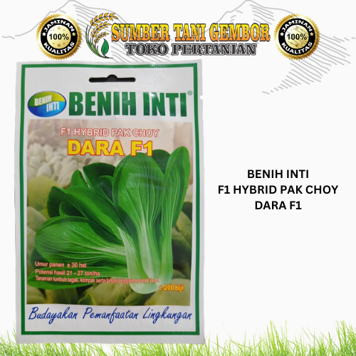 Jual BENIH INTI F1 HYBRID PAK CHOY DARA F1 | Shopee Indonesia