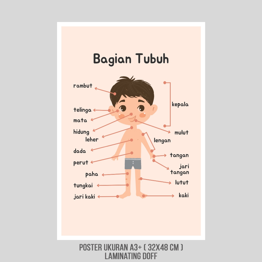 Jual Poster Edukasi Mengenal Bagian Tubuh Anak Laki-Laki | Shopee Indonesia