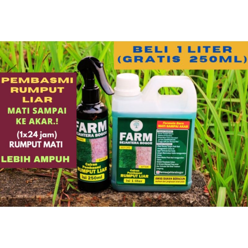 Jual cairan pembasmi rumput liar 1liter free 250ml (siap pakai tidak ...