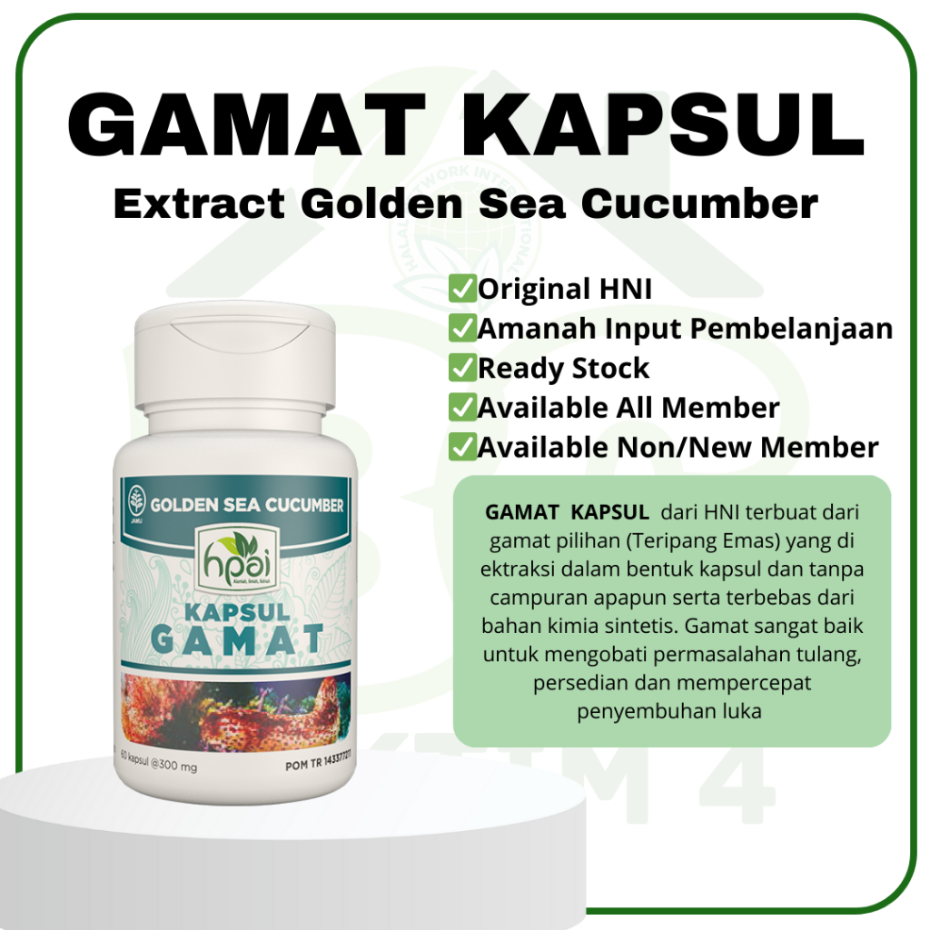 Jual GAMAT KAPSUL - HNI/GAMAT/TERIPANG EMAS/GOLDEN SEA CUCUMBER ...