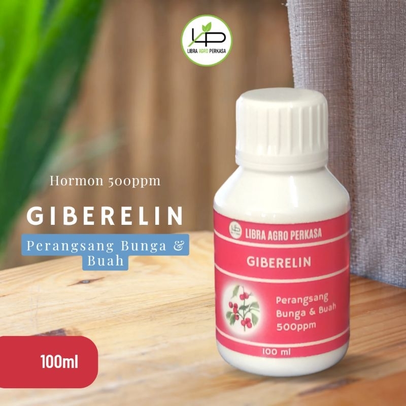 Jual Hormon Giberelin Murni 500ppm Libra 100ml pemicu pertumbuhan buah ...