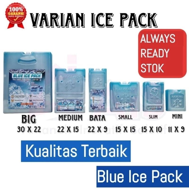 Jual ICE PACK 03 BLUE ICE PACK ICE GEL PENGGANTI DRY ICE PACK GEL ...